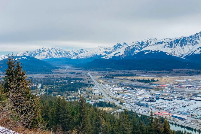 Seward Wilderness Hiking - Who Should Book This Tour?