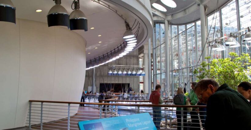 SF: CA Academy of Sciences & Hop-on Hop-off Tour (Save 15%) - Why This Tour Might Be Just Right for You