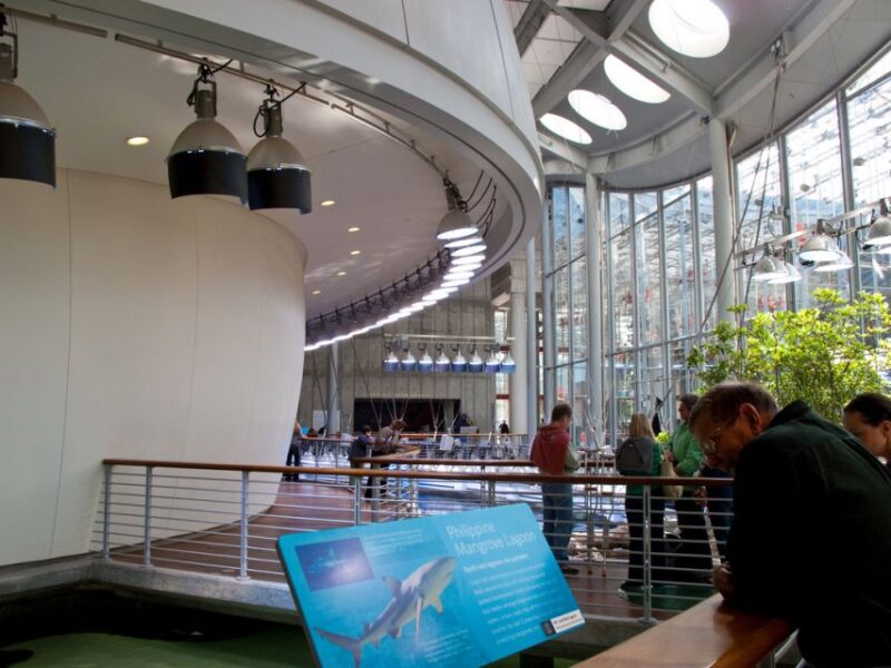 SF: CA Academy of Sciences & Hop-on Hop-off Tour (Save 15%) - Who Will Love This Tour?