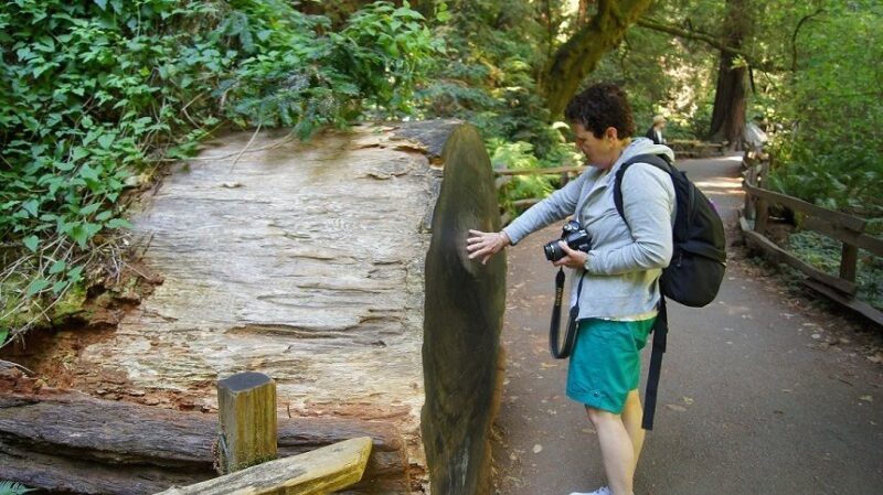 SF: Guided Muir Woods Tour & Hop-On Hop-Off Tour (Save 15%) - What’s Great About This Tour