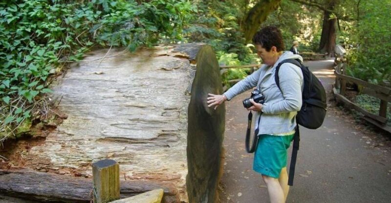 SF: Guided Muir Woods Tour & Hop-On Hop-Off Tour (Save 15%) - The Downsides and Considerations