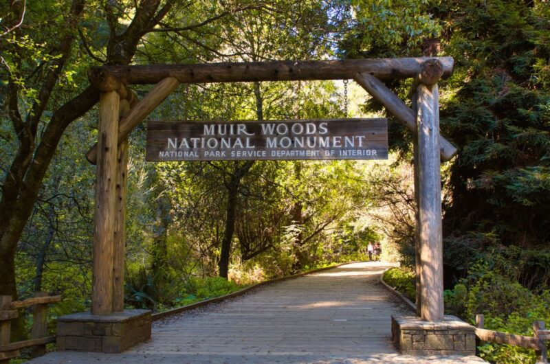 SF: Muir Woods, Sausalito, Golden Gate Bridge Private Tour - Analyzing the Value: Is It Worth the Cost?