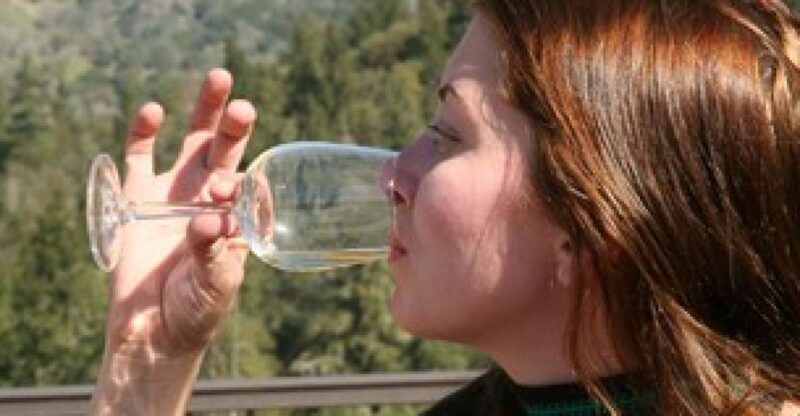 SF: Napa & Sonoma Wine Tour & Hop-on Hop-off Tour (Save 15%) - Transportation and Practical Details