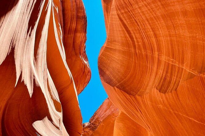 SF to Yellowstone,Grand Teton,Antelope Canyon&Vegas 7-Day Tour - Key Points