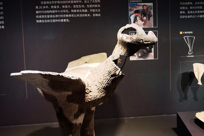 Shaanxi Archaeological Museum English-speaking Guide Service - Authentic Insights from Similar Experiences