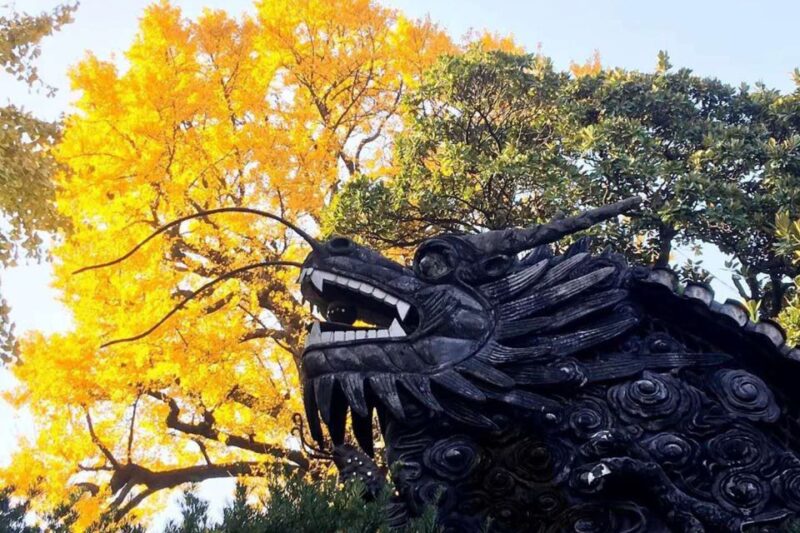 Shanghai: 3-Hour Old Shanghai City Tour - FAQ: Your Practical Questions Answered