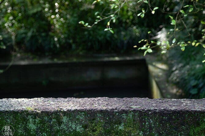 Shanghai 6hr Private Walking Tour with Certified Guide - FAQ