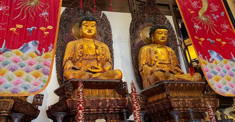 Shanghai: 8-Hour Guided Tour of Old and New City Highlights - Authentic Experiences and Real Traveler Feedback