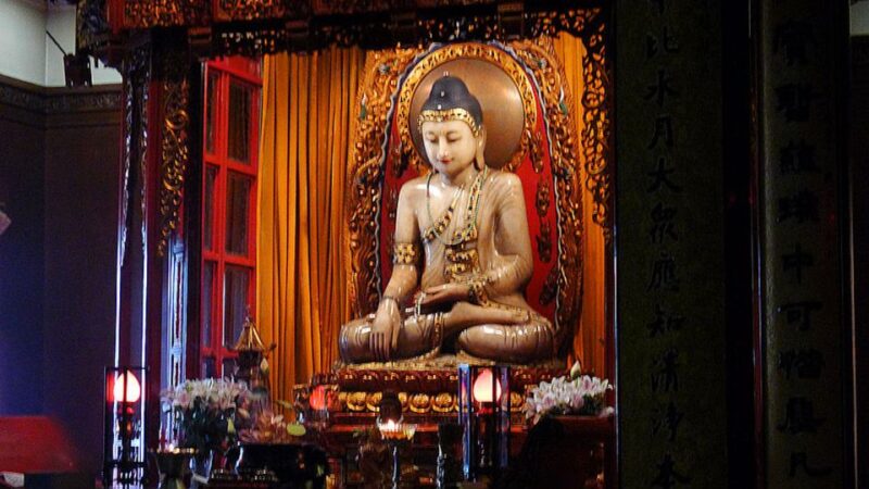 Shanghai: 8-Hour Private City Tour - Final Thoughts