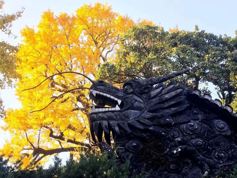 Shanghai: 8-Hour Private City Tour - FAQ