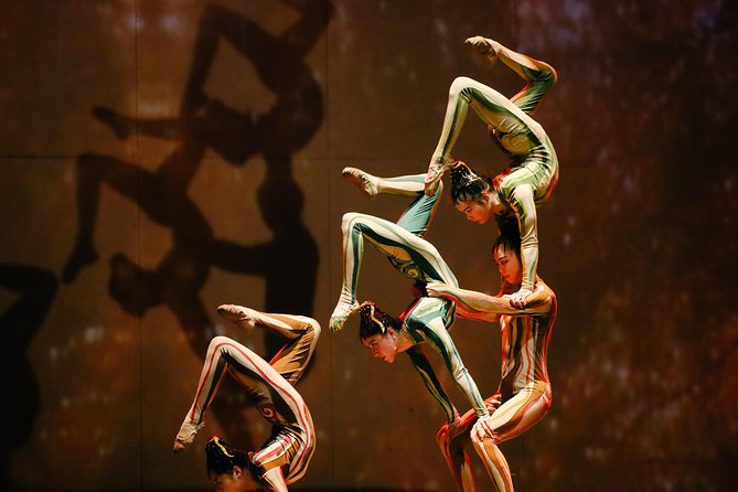 Shanghai Circus World: ERA2 Intersection of Time Acrobatics Show - The Sum Up: Who Should Consider This Experience?