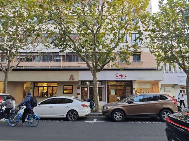 Shanghai Concession and History: Tour in a Minivan - Who Will Get the Most Out of This Tour?