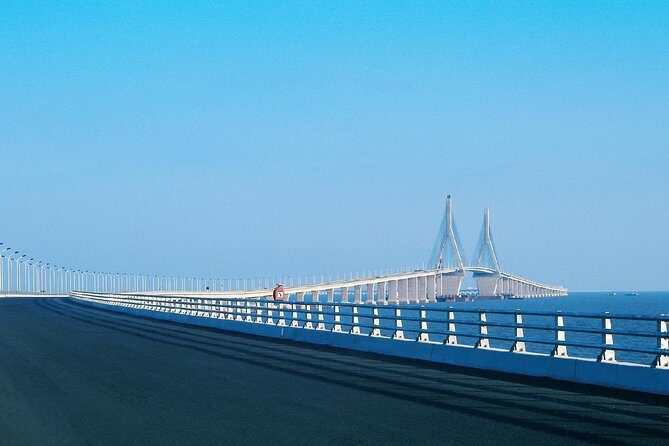 Shanghai Donghai Bridge and Yangshan Port Private Tour - Who Will Love This Tour?