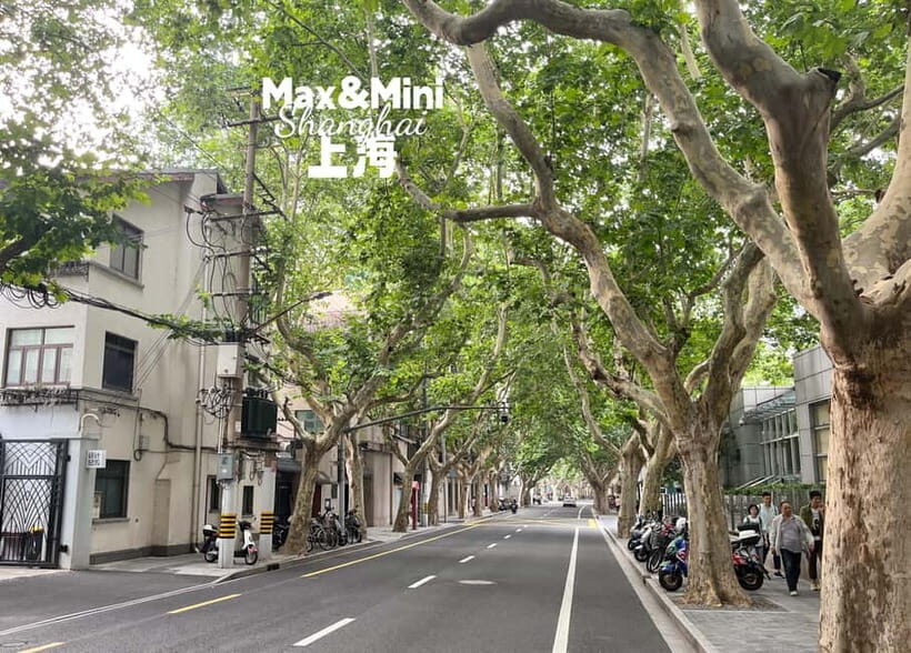 Shanghai: French Concession Stories, History, Culture, Bites - The Experience: A Closer Look