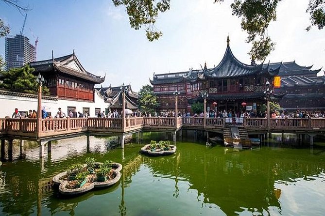 Shanghai in a Day: A Whirlwind Tour of the City's Highlights - The Sum Up: Who Should Consider This Tour