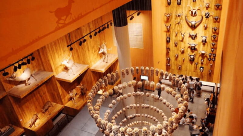 Shanghai: Natural History Museum Admission entry ticket - The Practicalities: Visiting and Accessibility