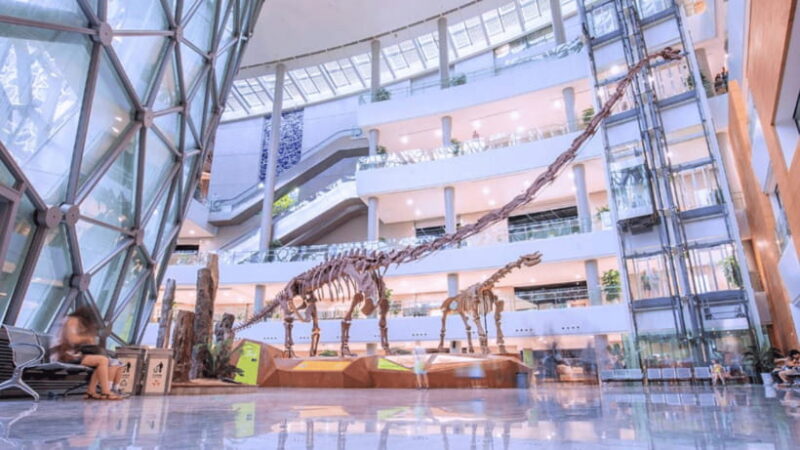 Shanghai: Natural History Museum Admission entry ticket - FAQ