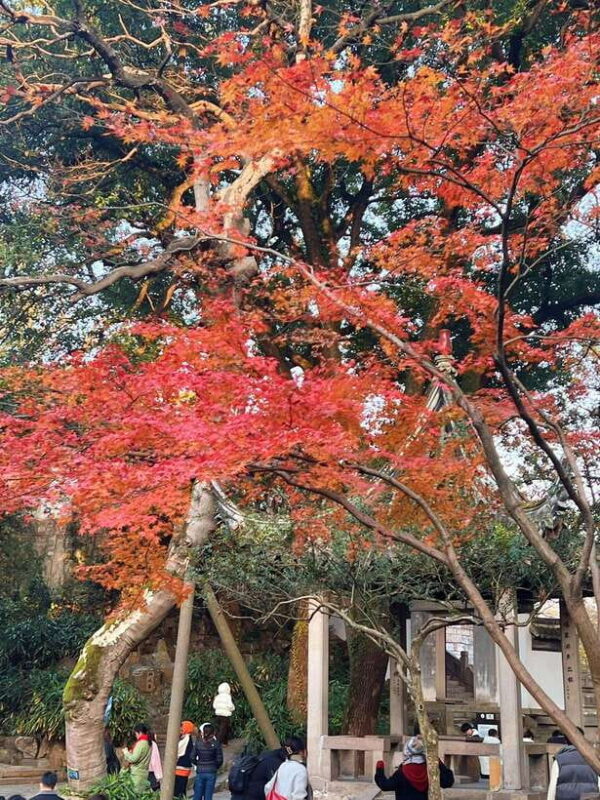 Shanghai One Day Tour to Suzhou: Lingering Garden Tiger Hill - Key Points