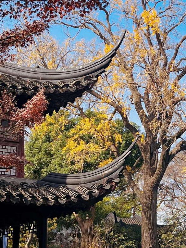 Shanghai One Day Tour to Suzhou: Lingering Garden Tiger Hill - What’s Included and What’s Not