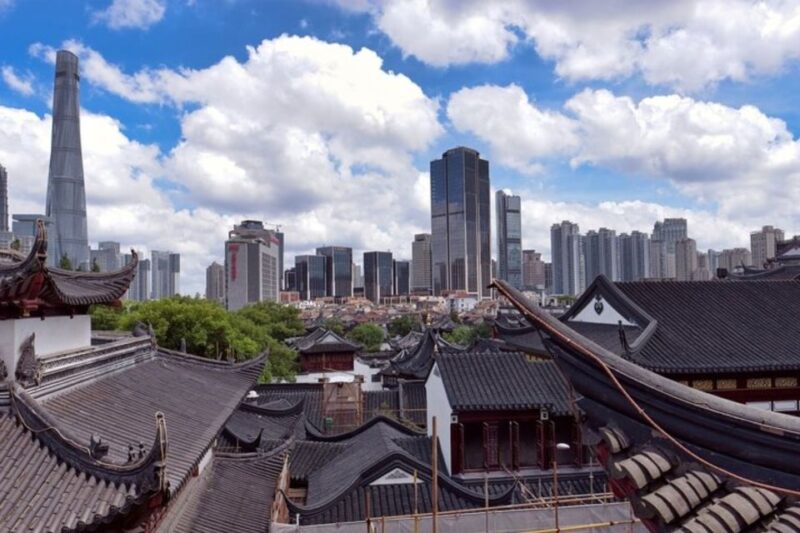 Shanghai: Private custom tour with a local guide - Who Would Love This Tour?
