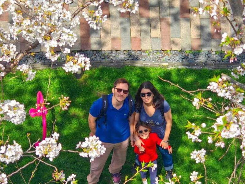 Shanghai: Private Full-Day City Tour with Guide - Key Points