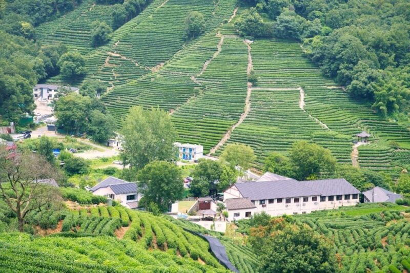 Shanghai: Private Guided Tour to Hangzhou by Bullet Train - Key Points