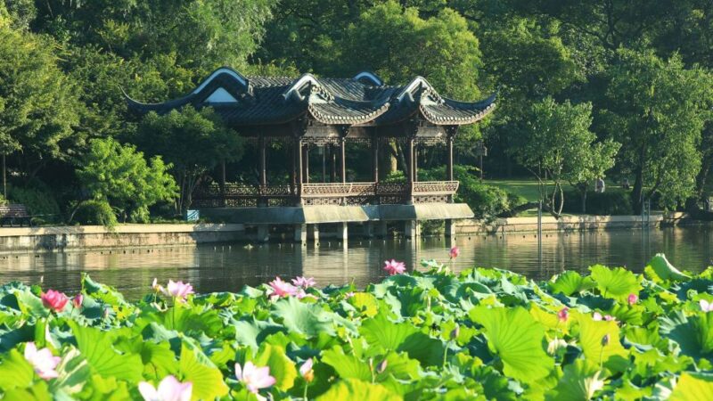 Shanghai: Private Guided Tour to Hangzhou by Bullet Train - The Itinerary Breakdown