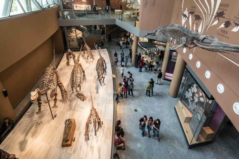 Shanghai: Private Tour of the Shanghai Museum - FAQ