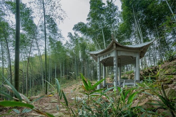 Shanghai to Hangzhou Tofu Ancient Road Hiking Tour by Train - Why Choose This Tour?