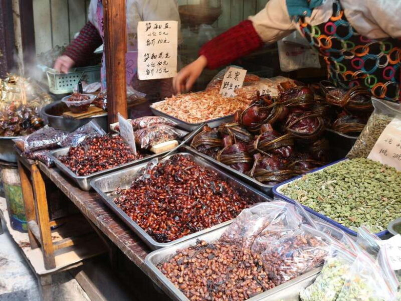 Shanghai: Zhujiajiao Water Town and City Private Day Tour - Authentic Experiences and Local Insights