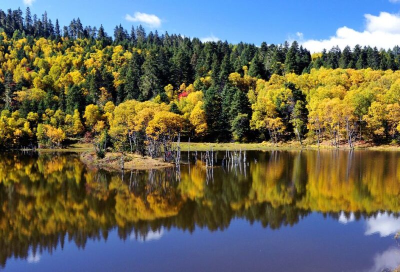 Shangri-La Area Private Day Tour - Who Will Love This Tour?