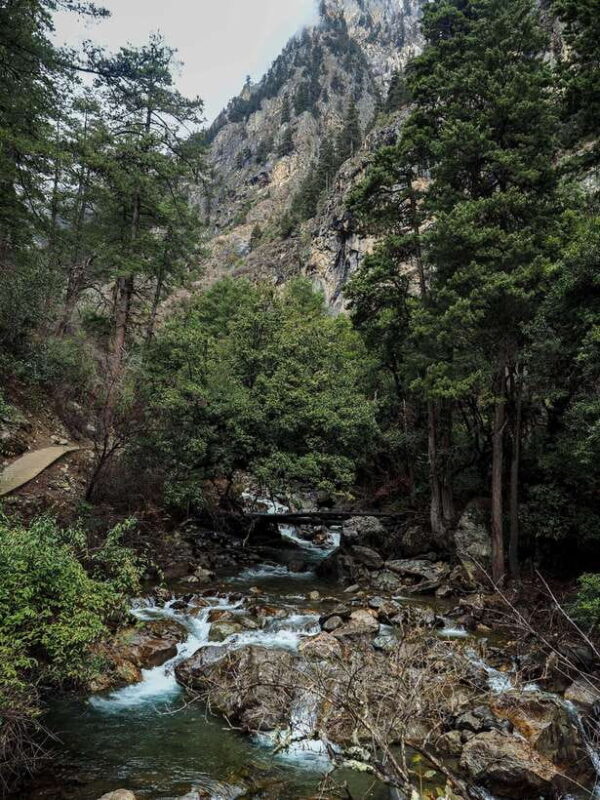 Shangri-La: Meili Snow Mountain and Yubeng Village Trek - Accommodations and Food