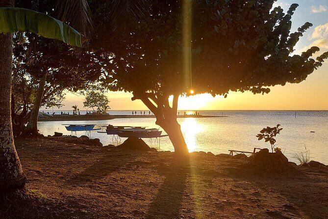Shared 4.5h Circle Island Tour of Tahiti Nui by Lydia - FAQ