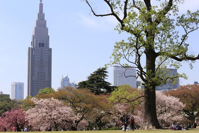 Shared Arrival Transfer : Haneda Airport to Central Tokyo City - Local Taxes and Charges Included