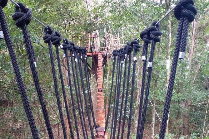 Shared ATV's and Zip Lines and Swimming in a Real Cenote. - FAQ