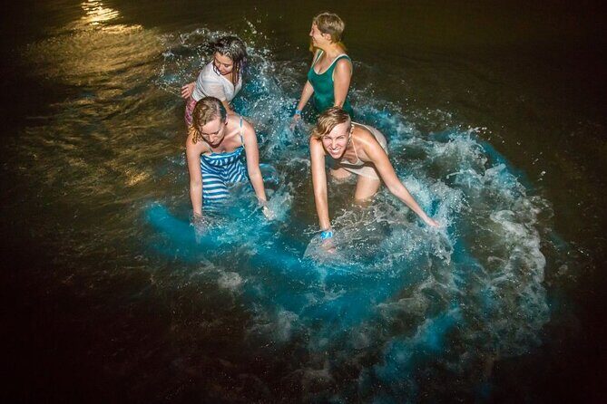 Shared Bioluminescence kayak tour in Holbox - The Reviews Paint a Clear Picture