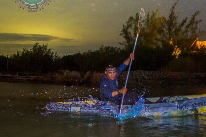 Shared Bioluminescence kayak tour in Holbox - Frequently Asked Questions (FAQs)