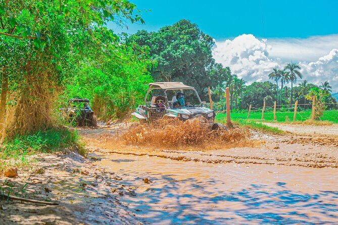 Shared Buggy Tour in Punta Cana - In The Sum Up