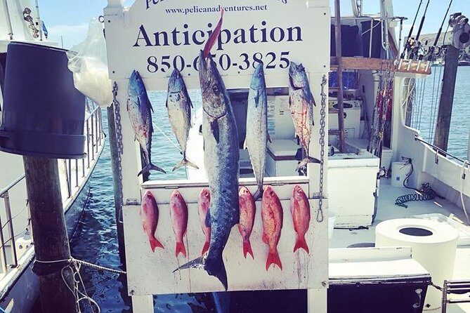 Shared Deep Sea Fishing Trip from Destin - The Itinerary and Experience in Detail