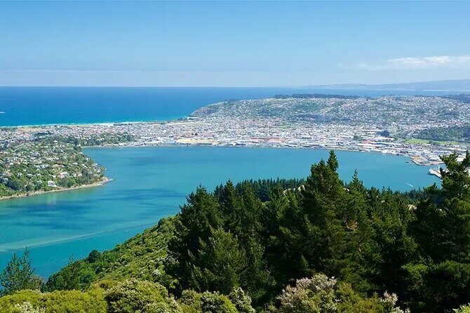 Shared Dunedin City & Otago Peninsula Scenery Day Tour up to 10 - Practical Details and Value