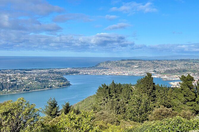 Shared Dunedin City & Otago Peninsula Scenery Day Tour up to 10 - Who Should Consider This Tour?