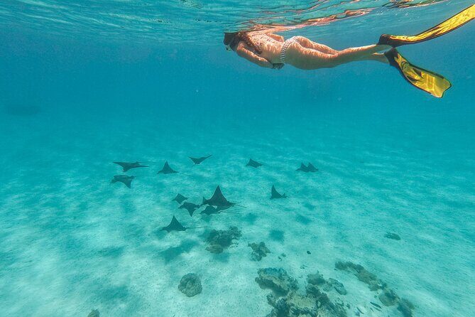 SHARED FULL DAY CULTURAL & LAGOON TOUR - Bora Bora Cultural Lagoon Tour - A Deep Dive into the Bora Bora Cultural Lagoon Tour