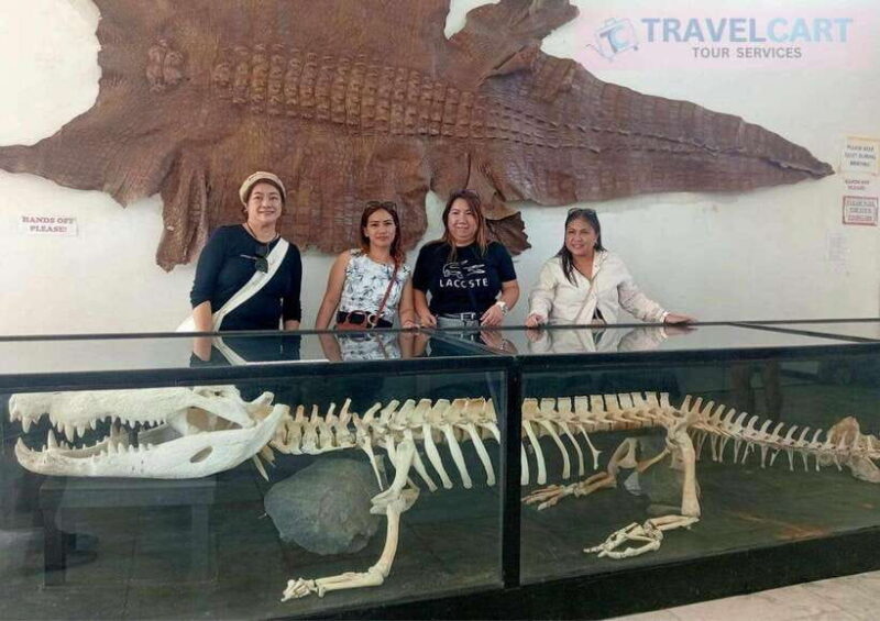 Shared Half City Tour with SPA - Who Will Love This Tour?