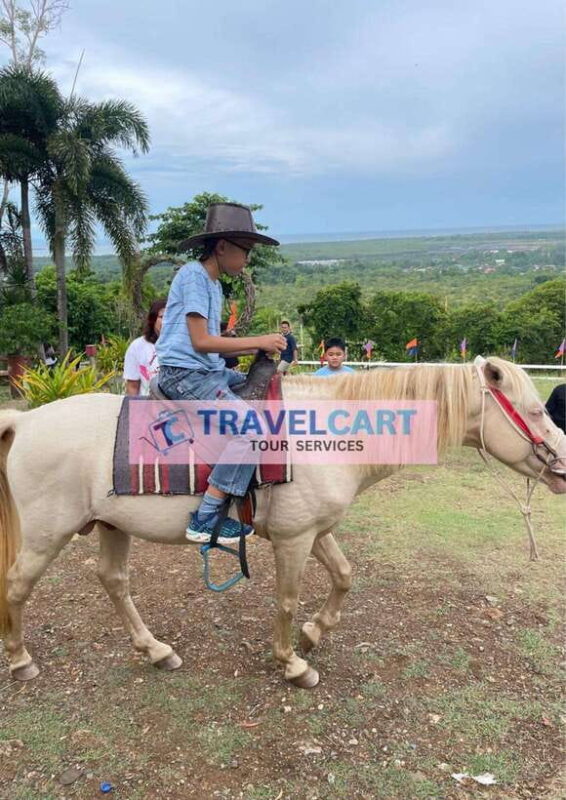 Shared Half City Tour with SPA - FAQs