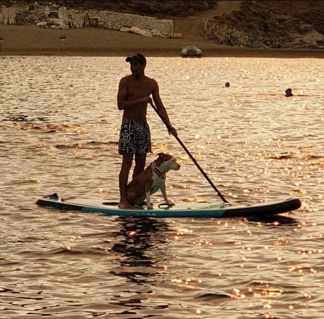 Shared Half Day Cruise in Athenian Riviera - What Does the Cost Cover?