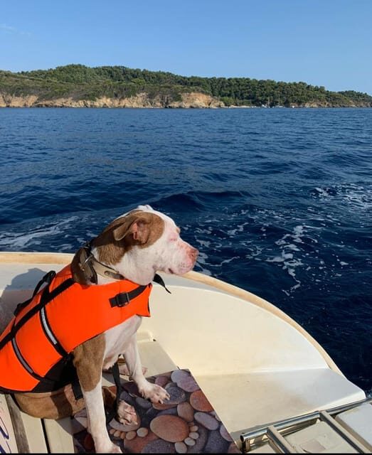 Shared Half Day Cruise in Athenian Riviera - Final Thoughts