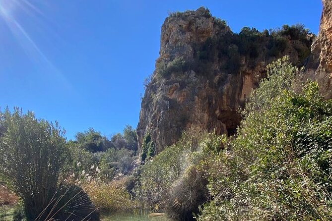 Shared Hike Tour in Valencia - Guest Feedback and Experiences