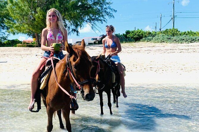 Shared Horseback Riding in Turks and Caicos - Key Points