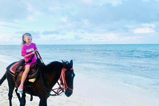 Shared Horseback Riding in Turks and Caicos - Who Should Book This Tour?
