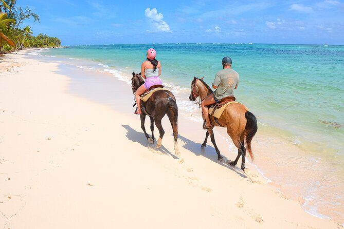 Shared horseback riding Punta Cana Beach - The Experience: What to Expect from Start to Finish